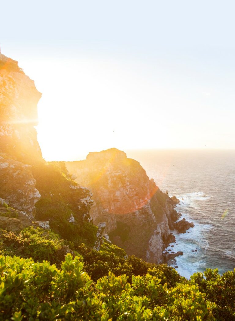 Home - Motsamayi Tourism Group