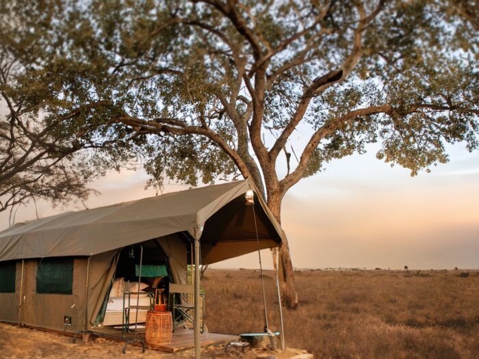 Kruger Untamed Satara Plains Camp - Motsamayi Tourism Group